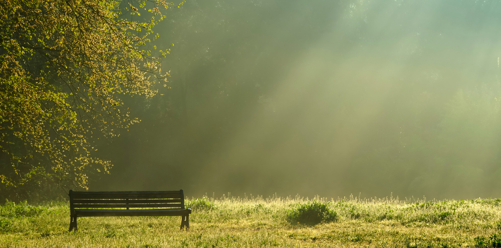 9 Reasons To Start Your Morning With A Walk - Purality Health ...